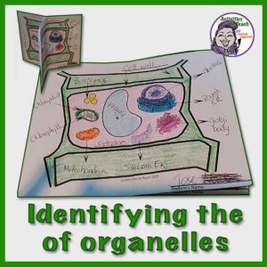 3D Model Maker: Inside the Plant Cell Paper Model Maker - Activities to ...